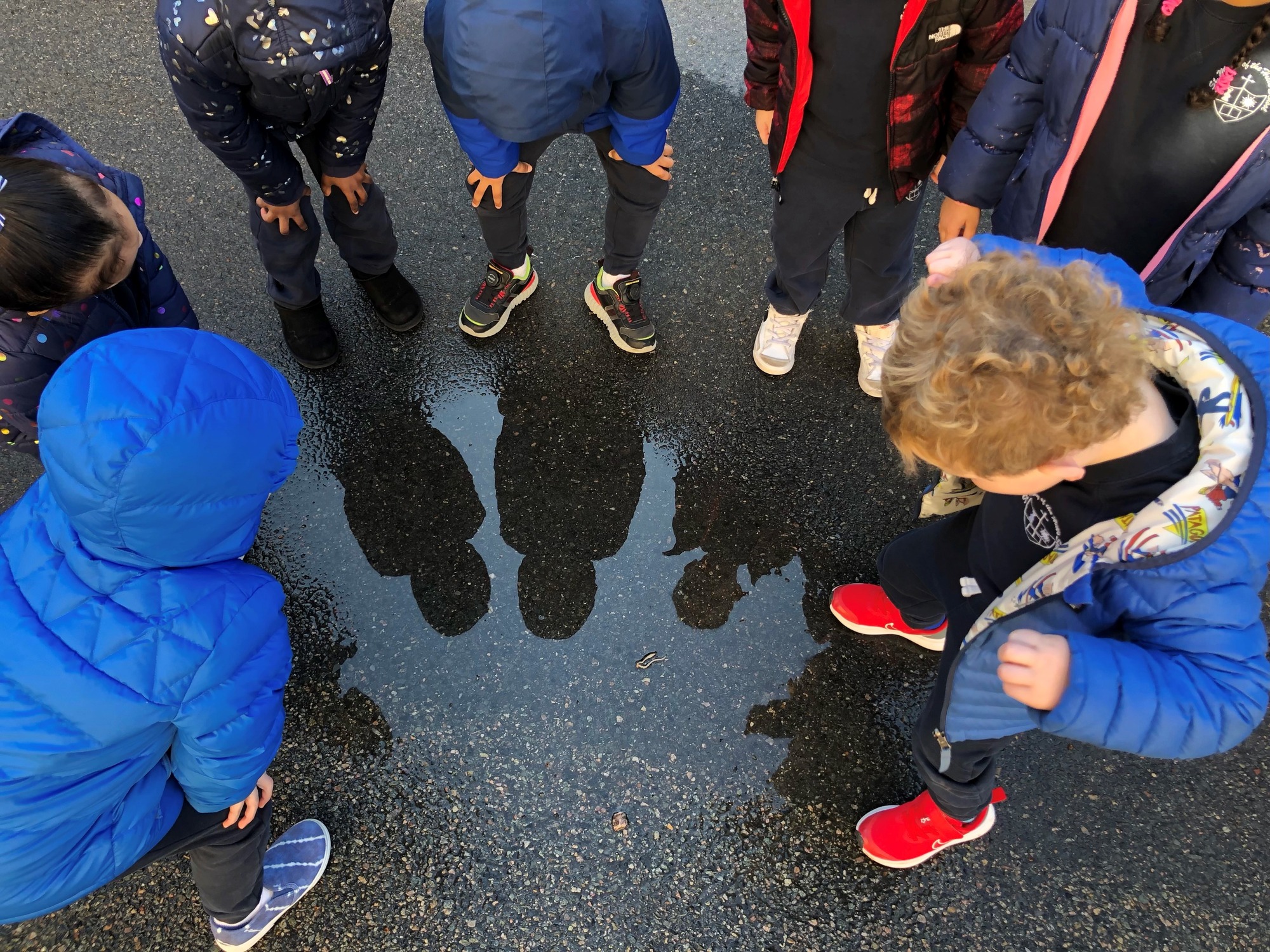 - St. Mary of the Hills School - Milton, MA